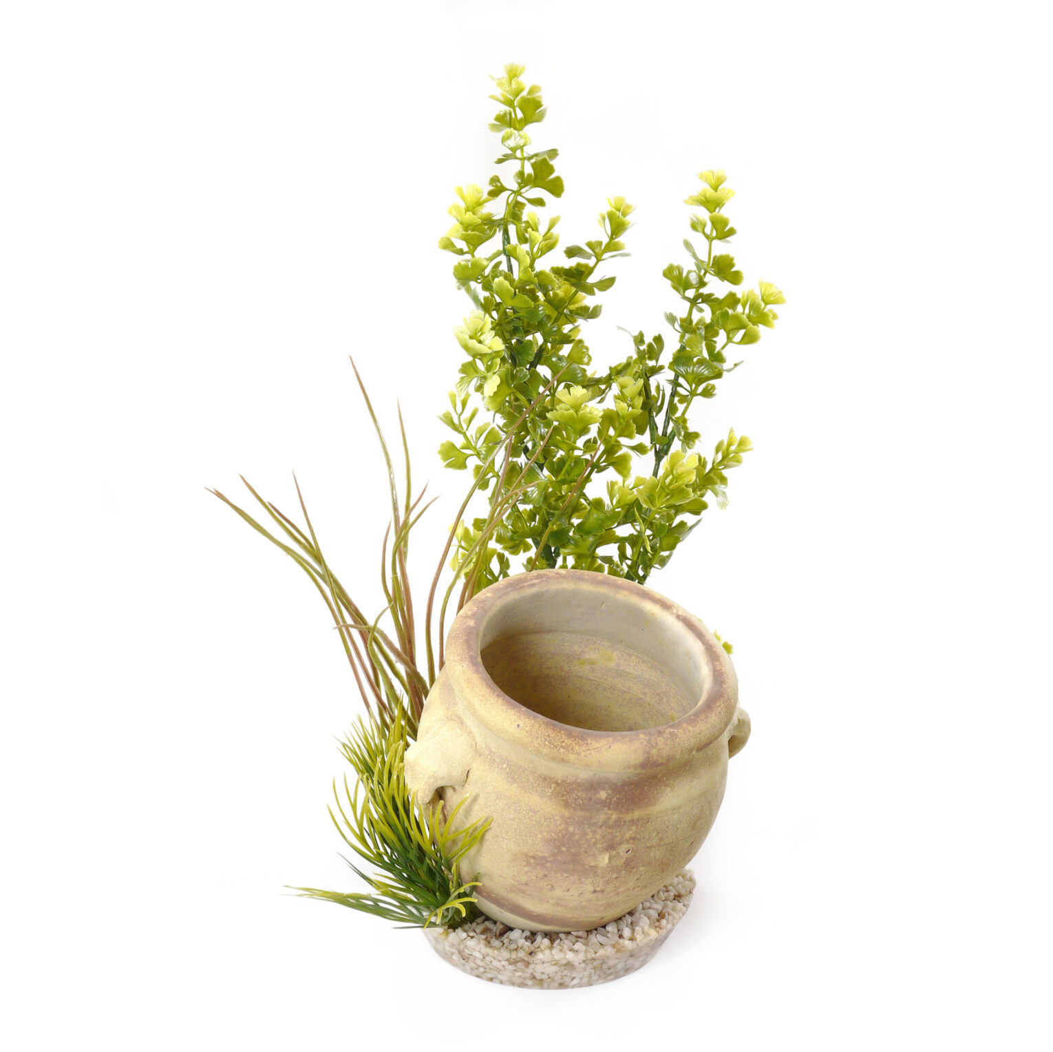 Setting Up Your First Jellyfish Tank: A Beginner's Guide - Petpalace.uk