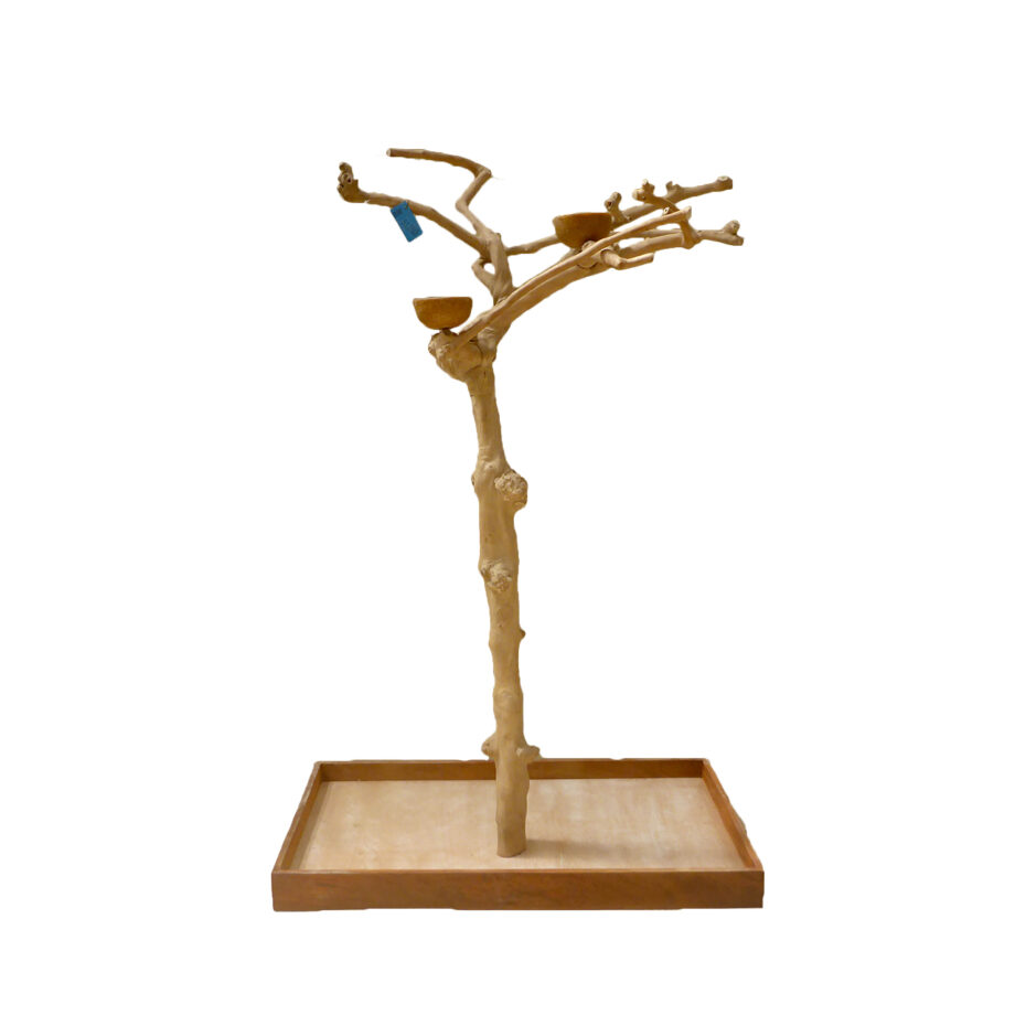 Coffee Wood Java Tree Perch - Large for Parrots, Macaws and Cockatoos ...