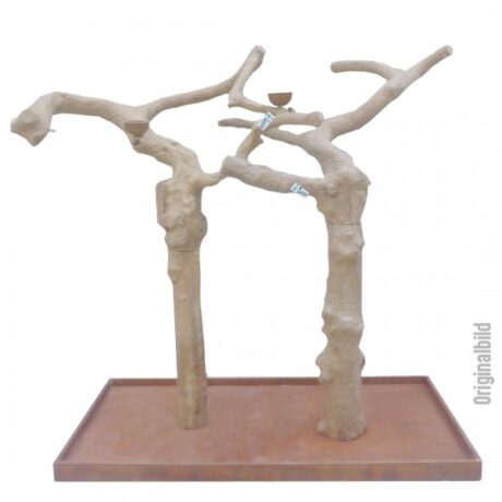 Double Java Tree - | Unbeatable Value & Fast Delivery