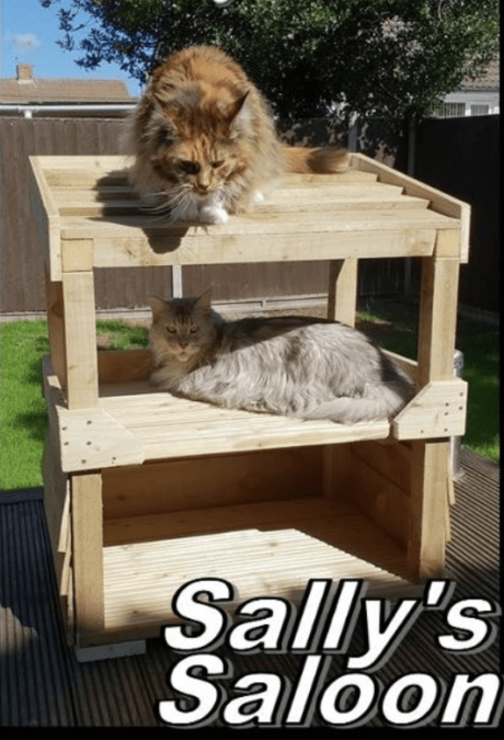 Sally Saloon - | Unbeatable Value & Fast Delivery