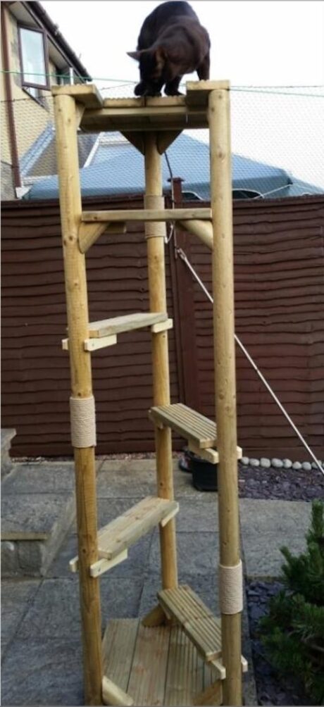 Outdoor Cat Trees - Petpalace.uk