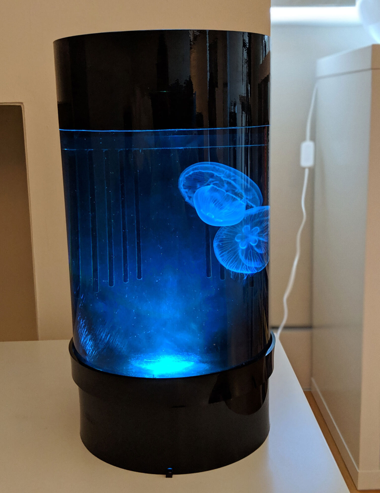Jellyfish Nano Aquarium C8 – Starter kit - | Unbeatable Value & Fast ...