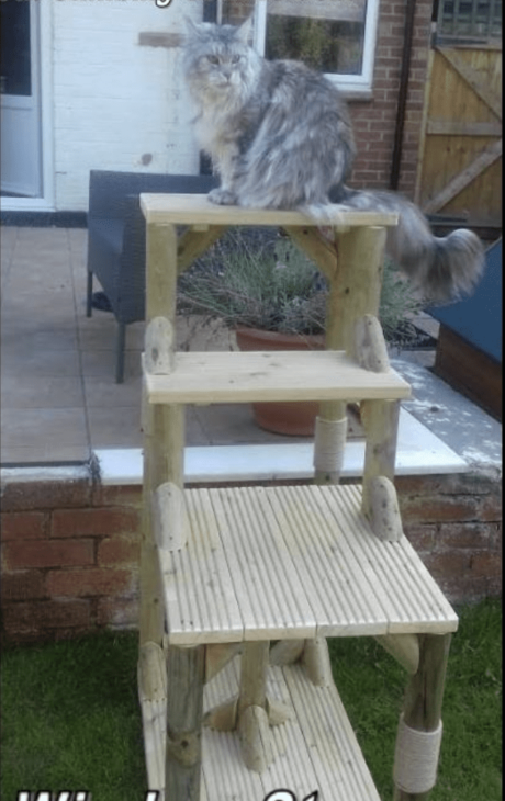 Outdoor Cat Trees - Petpalace.uk