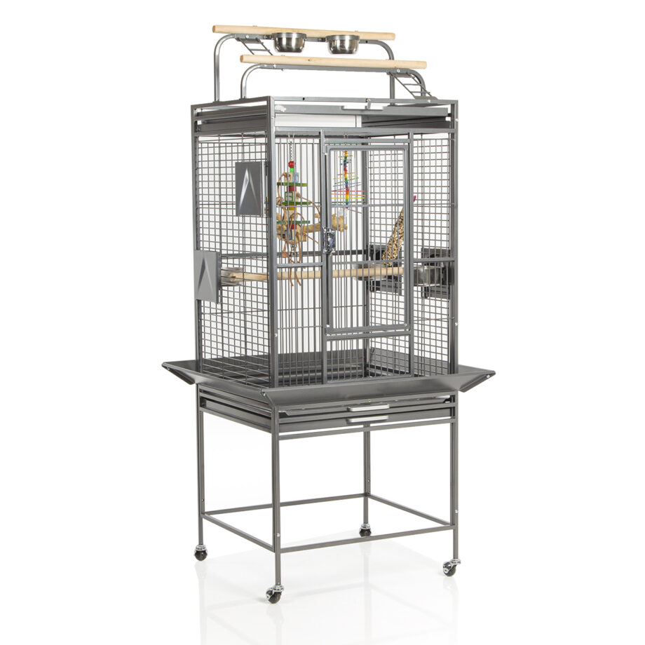 Bird Cages & Accessories | Unbeatable Value & Fast Delivery