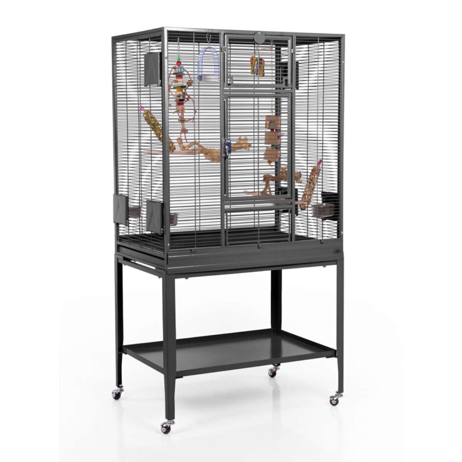 Bird Cages & Accessories | Unbeatable Value & Fast Delivery