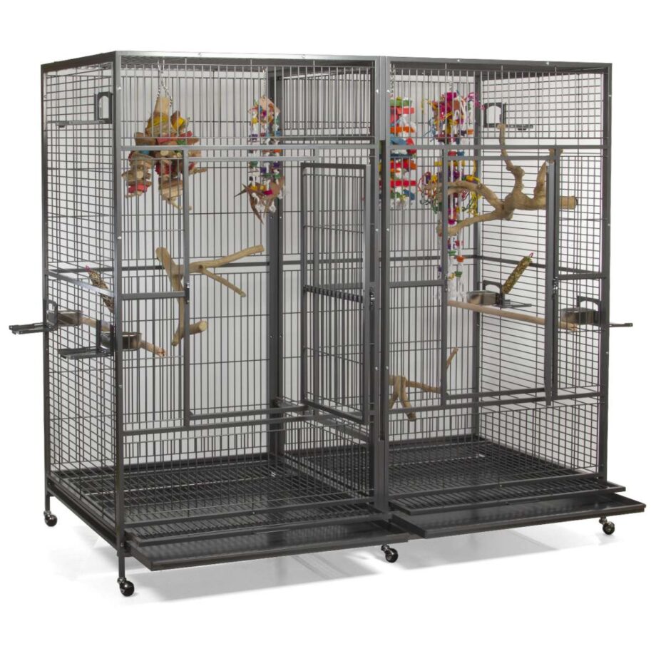 Bird Cages & Accessories | Unbeatable Value & Fast Delivery